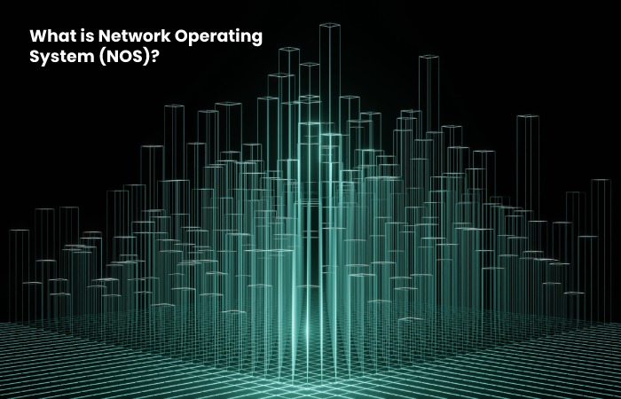 What Is Network Operating System NOS 2022